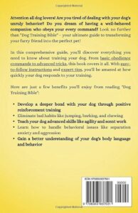 Negative Reinforcement Dog Training: Pros & Cons